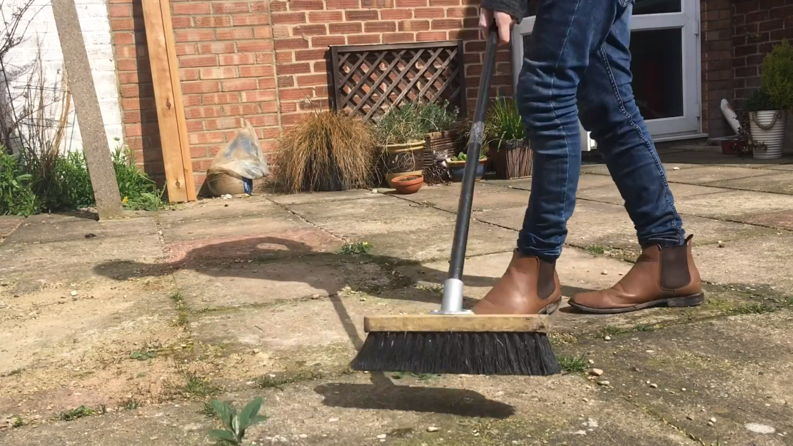 Why Are Dogs Scared of Brooms? - DogAdvices
